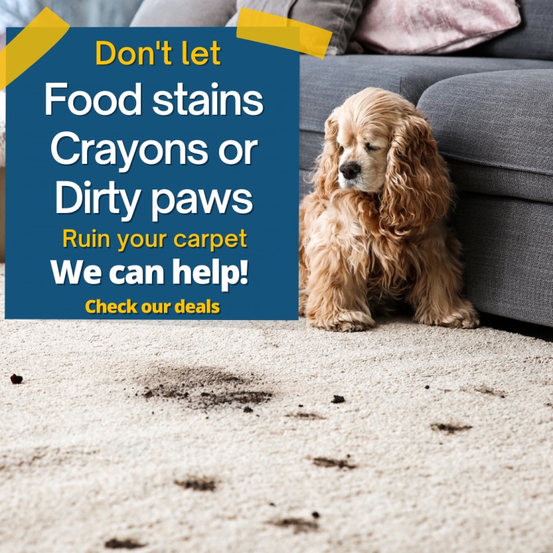 K.V. Carpet Care - Strix Advertising